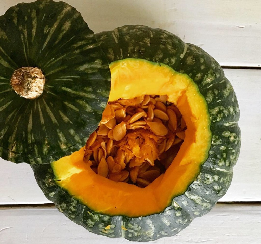 Kabocha Coconut Custard – joyfullydwell