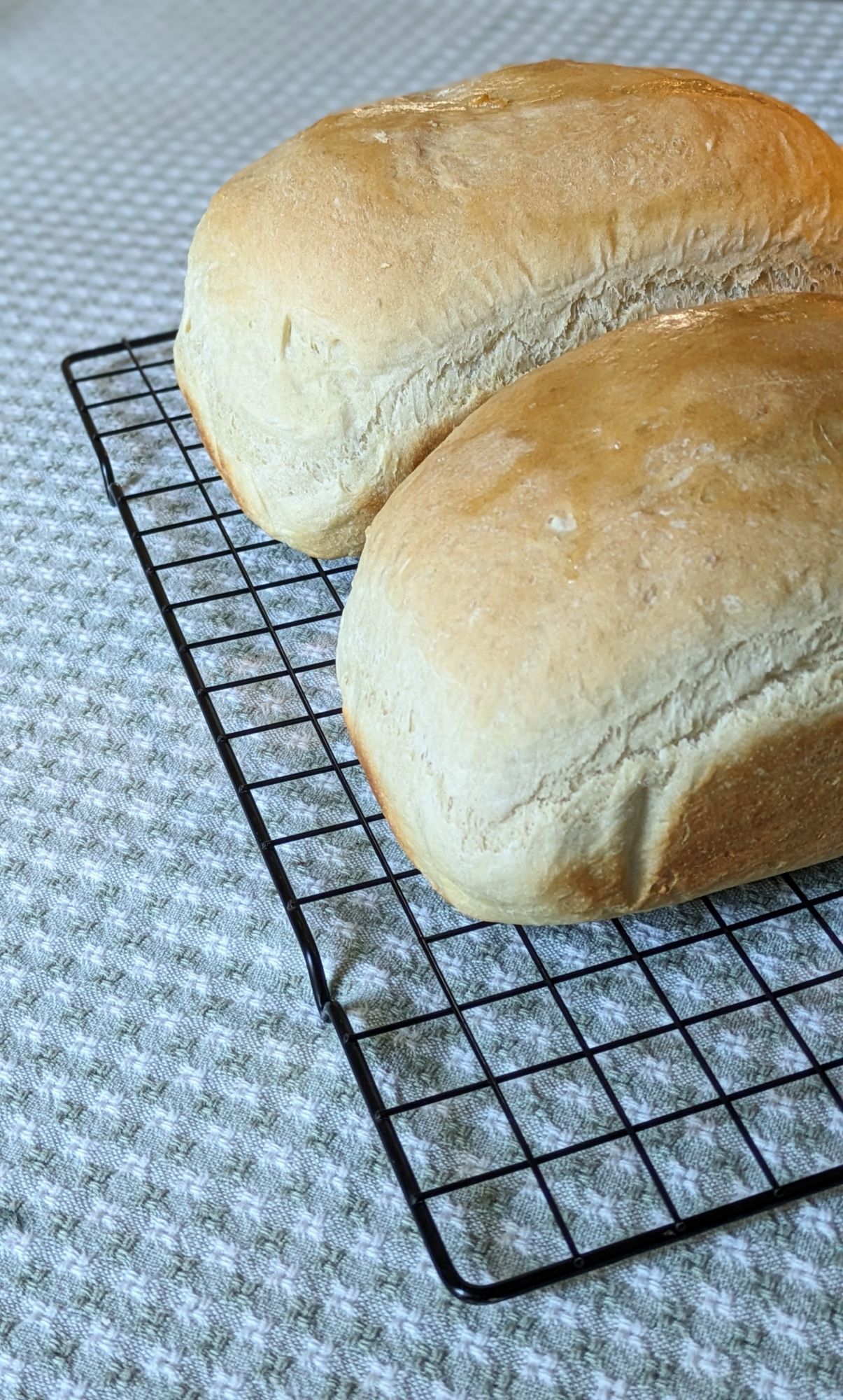 Easy Sandwich Bread – joyfullydwell