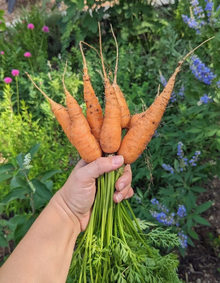 Bulk Batch Meal Prep – joyfullydwell