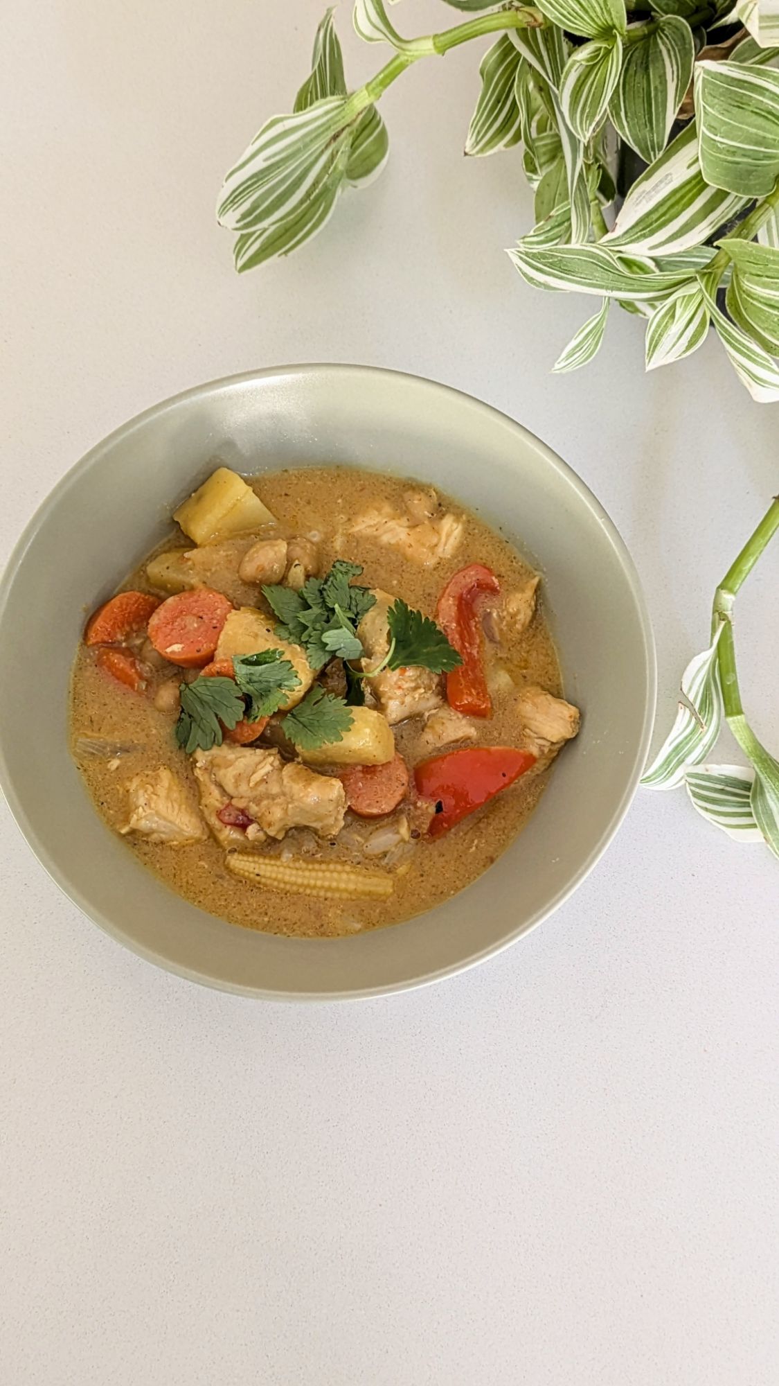 Thai Yellow Curry – joyfullydwell
